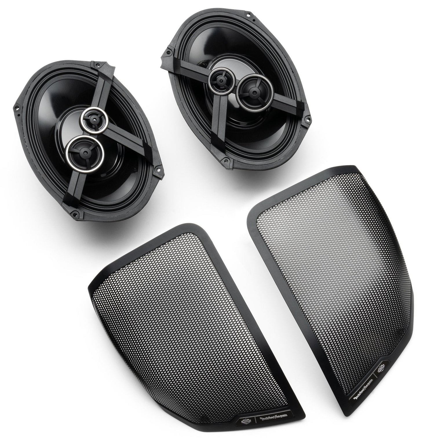 Teddy Morse's Daytona Harley-Davidson